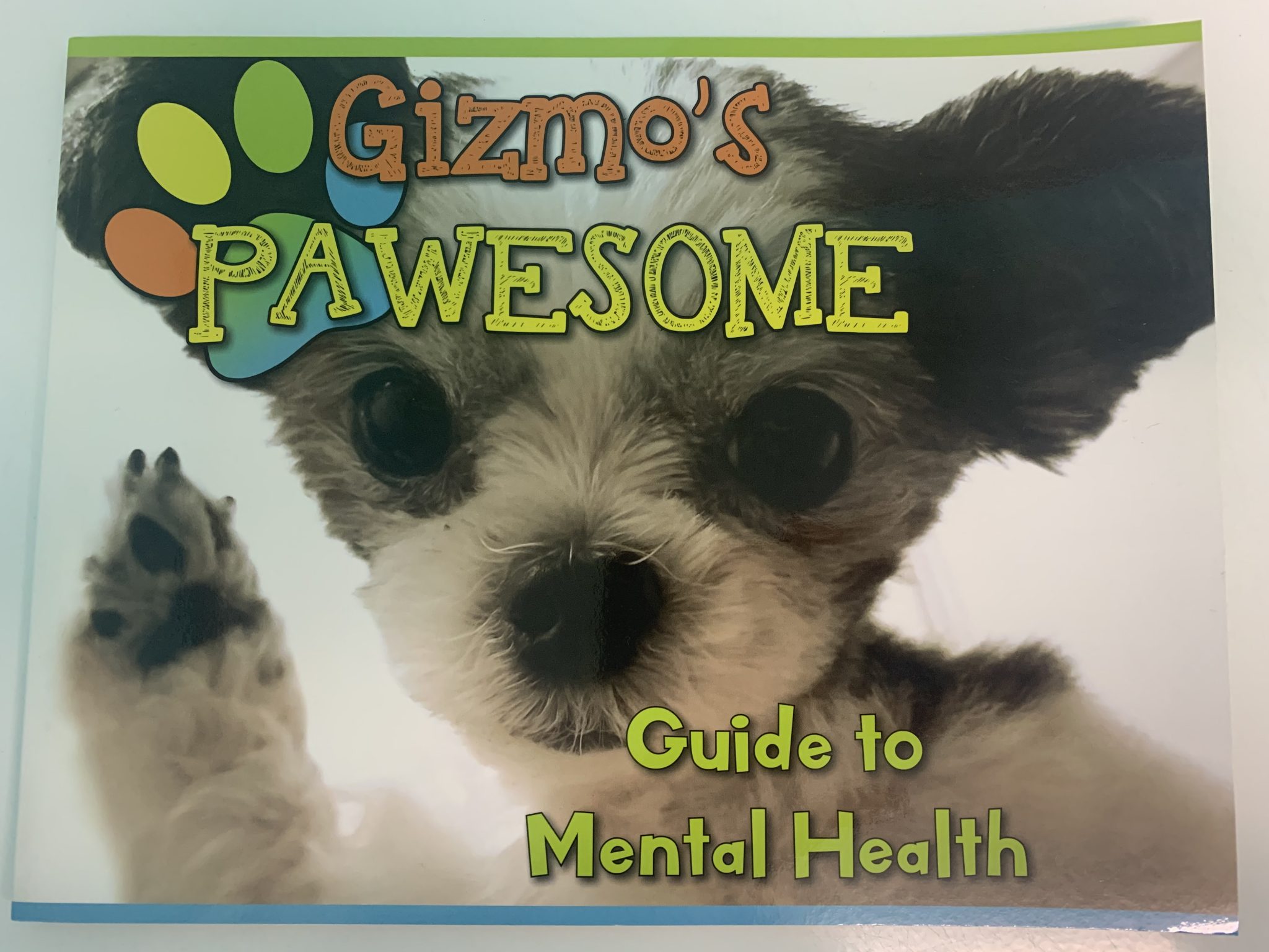 Gizmos Pawesome Guide – Remember Me NFP